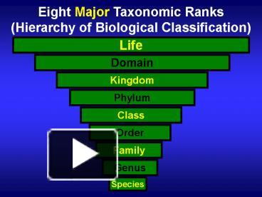 Eight Major Taxonomic Ranks (Hierarchy of Biological Classification ...
