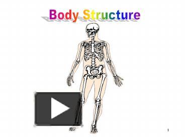 Body Structure presentation | free to view