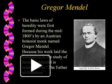 Gregor Mendel presentation | free to download