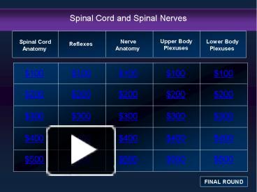 Spinal Cord and Spinal Nerves presentation | free to download