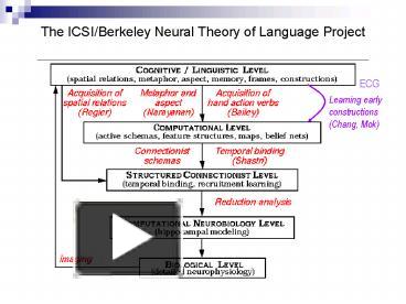 PPT – The ICSI/Berkeley Neural Theory of Language Project PowerPoint ...