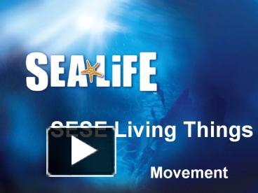 PPT – Movement PowerPoint presentation | free to download - id: 49ba5c ...