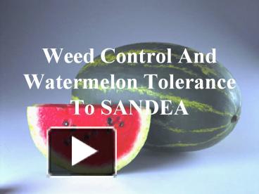 Weed Control And Watermelon Tolerance To SANDEA presentation | free to ...