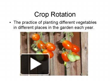 Crop Rotation presentation | free to view