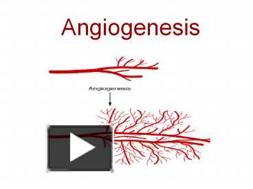 Angiogenesis presentation | free to view