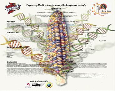 Exploring Mo17 maize in a way that explains today presentation | free ...