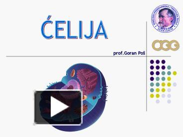 CELIJA presentation | free to download