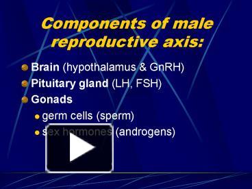 PPT – Components of male reproductive axis: PowerPoint presentation ...