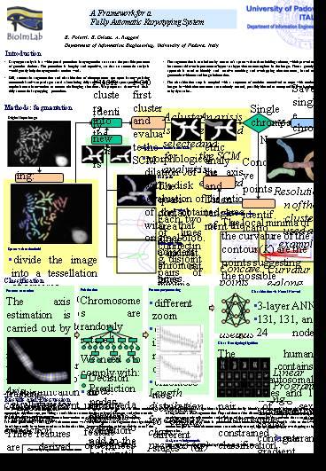 A Framework for a Fully Automatic Karyotyping System presentation ...