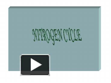 PPT – NITROGEN CYCLE PowerPoint presentation | free to download - id ...