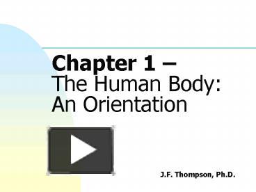 PPT – Chapter 1 The Human Body: An Orientation PowerPoint presentation ...