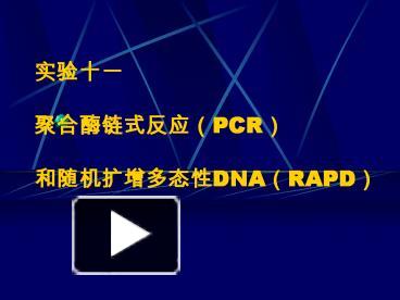 PPT – ???? ???????(PCR) ????????DNA(RAPD) PowerPoint presentation ...