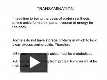 TRANSAMINATION presentation | free to view