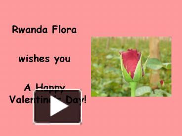 PPT – Rwanda Flora PowerPoint presentation | free to download - id ...