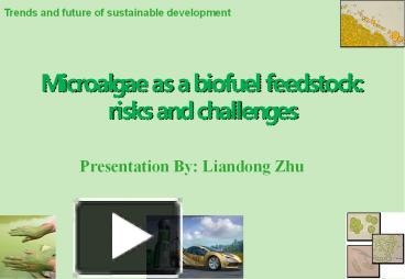 Microalgae as a biofuel feedstock: risks and challenges presentation ...