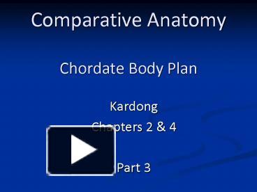Comparative Anatomy Chordate Body Plan presentation | free to view