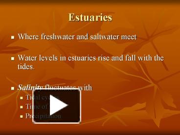 PPT – Estuaries PowerPoint presentation | free to view - id: 4c65e6-MjQxN
