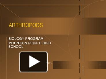 PPT – ARTHROPODS PowerPoint presentation | free to view - id: 4c790e-ZmJiY