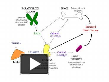 CBP presentation | free to view