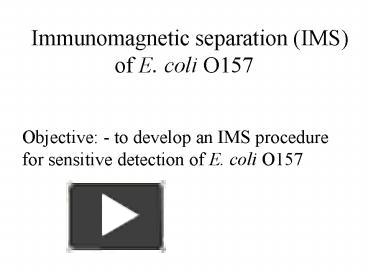 Immunomagnetic separation IMS of E' coli O157 presentation | free to view