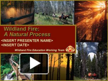 Wildland Fire: A Natural Process presentation | free to view