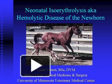 Neonatal Isoerythrolysis aka Hemolytic Disease of the Newborn ...