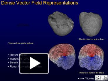 Dense Vector Field Representations presentation | free to download