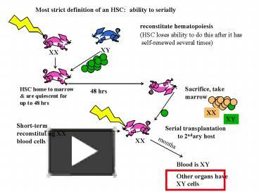 PPT – Most strict definition of an HSC: ability to serially PowerPoint ...