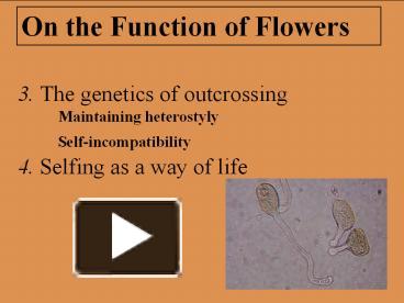 3. The genetics of outcrossing presentation | free to download