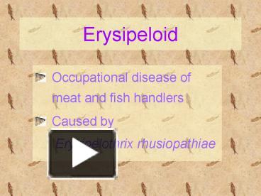 Erysipeloid presentation | free to view