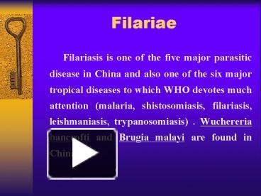 Filariae presentation | free to view