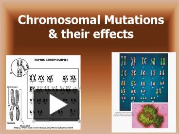 PPT – Chromosomal Mutations PowerPoint presentation | free to download ...