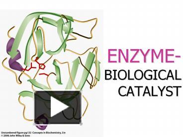 ENZYME- BIOLOGICAL CATALYST presentation | free to view