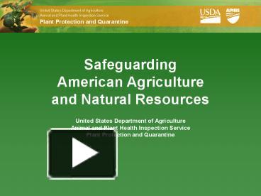 Safeguarding presentation | free to view