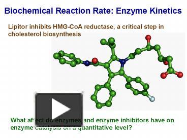 PPT – Biochemical Reaction Rate: Enzyme Kinetics PowerPoint ...