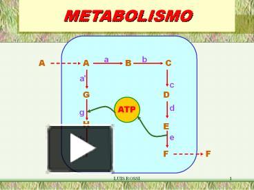 METABOLISMO presentation | free to download
