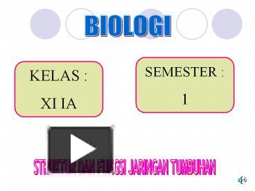 STRUKTUR presentation | free to view