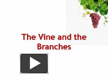 The Vine and the Branches presentation | free to view