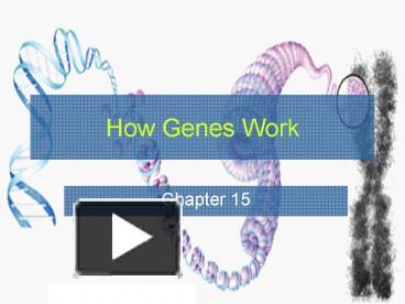 How Genes Work presentation | free to view