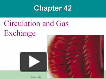 Circulation and Gas Exchange presentation | free to view