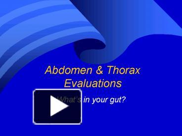 PPT – Abdomen PowerPoint presentation | free to view - id: 4fd2a-MjUxM