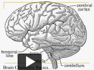 Brain Chemistry Basics''' presentation | free to view