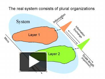 PPT – The real system consists of plural organizations PowerPoint ...