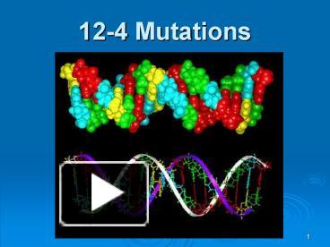 PPT – 12-4 Mutations PowerPoint presentation | free to download - id ...