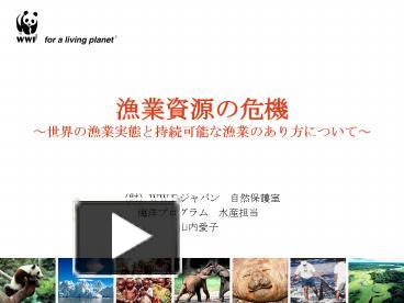 PPT – (?)WWF???? ????? PowerPoint presentation | free to view - id ...