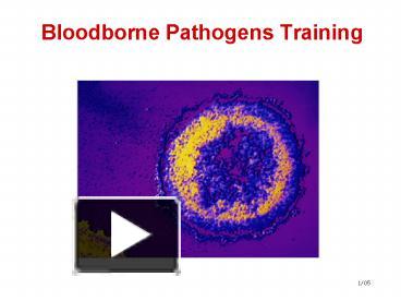 PPT – Bloodborne Pathogens Training PowerPoint presentation | free to ...