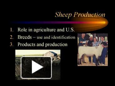 Sheep Production presentation | free to view