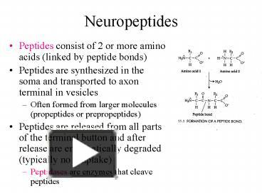 Neuropeptides presentation | free to view