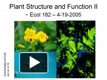 PPT – Plant Structure and Function II - Ecol 182 PowerPoint ...