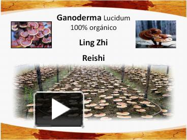 Ganoderma Lucidum presentation | free to download
